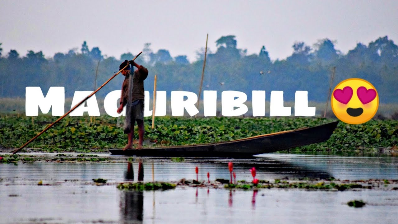 Exploring Maguri Bill | RockDeep Vlogs 😉 - YouTube