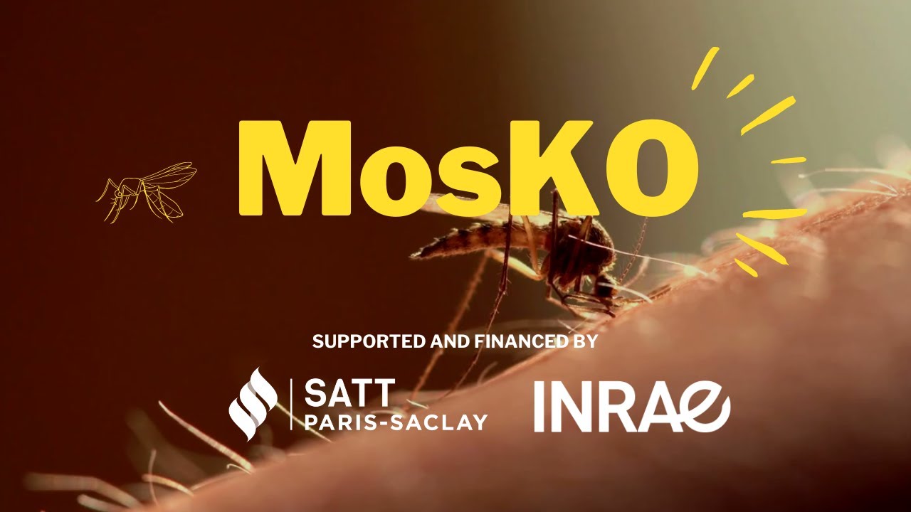 MosKO: a revolution in vector control - YouTube