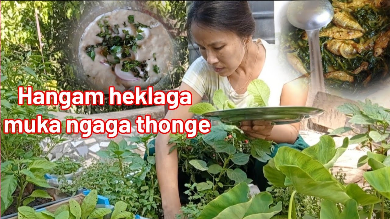 Yumda thajbaHangam ga muka nga atekpaga thongba, pan eronba ama Umorok ...