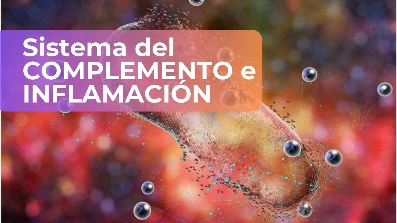 Vías de Activación del Complemento y Respuesta Inflamatoria - YouTube