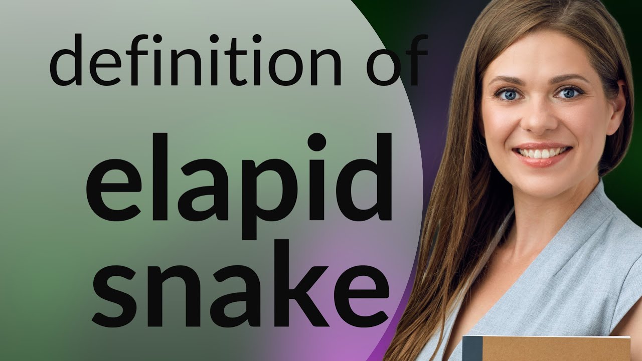Elapid snake | what is ELAPID SNAKE meaning - YouTube