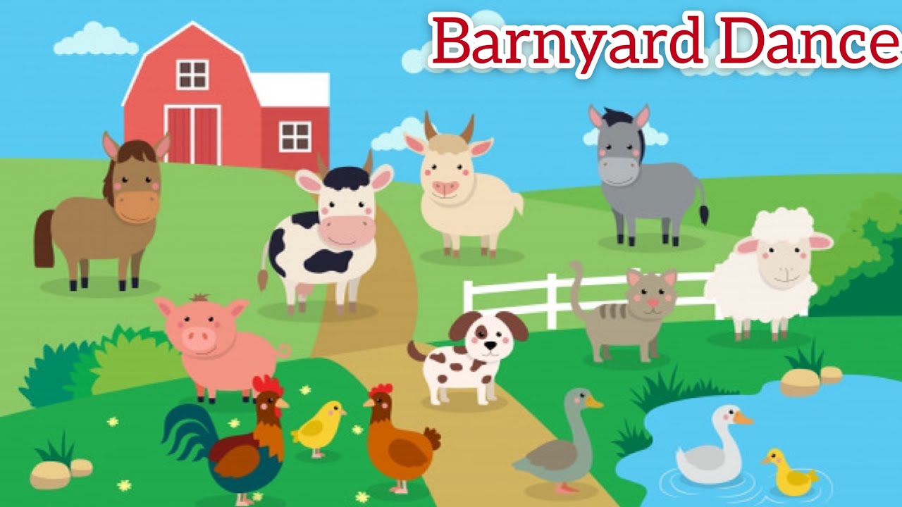 Barnyard dance - YouTube