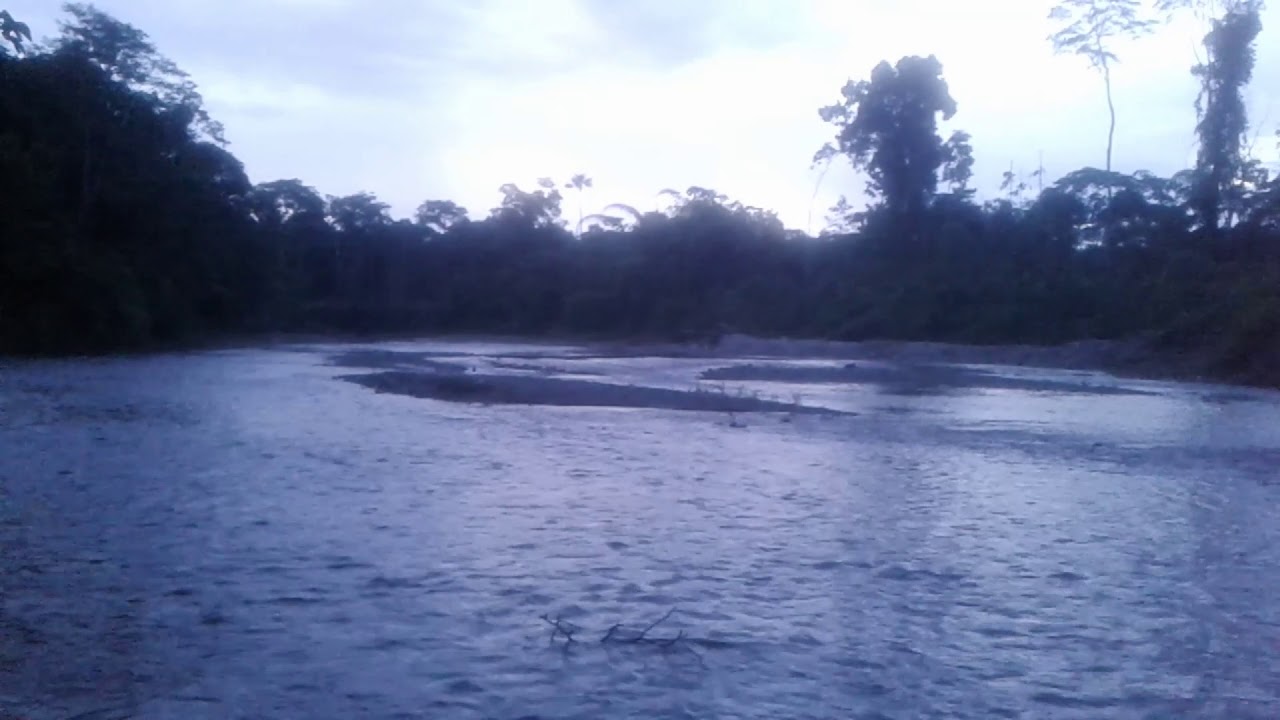 PANGUI RIVER-TAISHA CANTON-PROVINCE OF MORONA SANTIAGO-ECUADORIAN ...