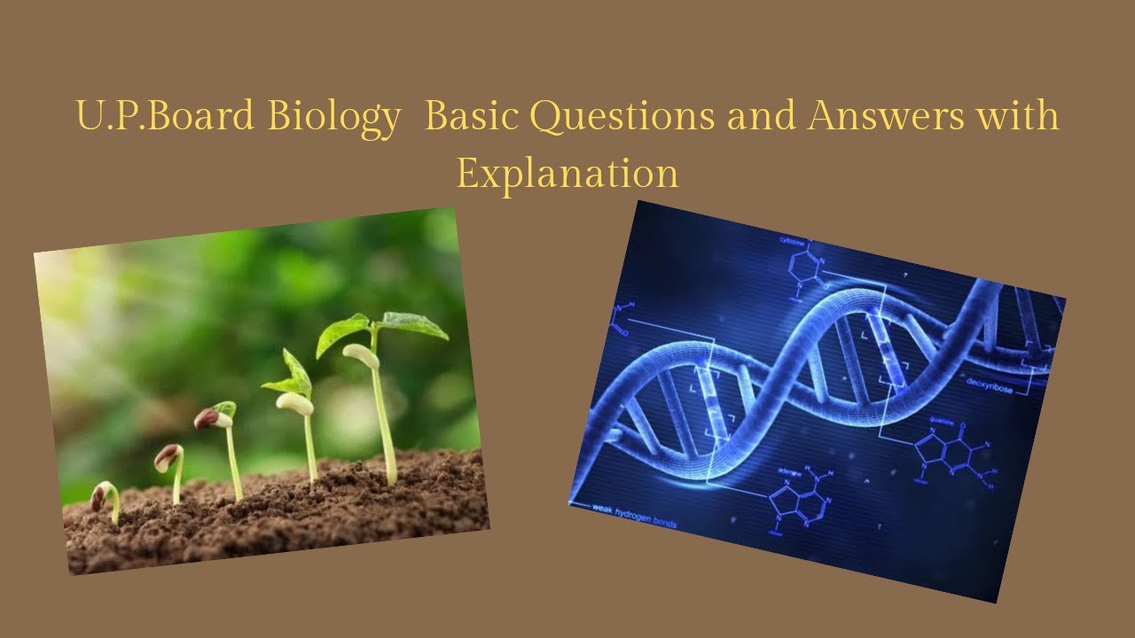 Basic questions and answers of Biology with explanation Part-2 - YouTube