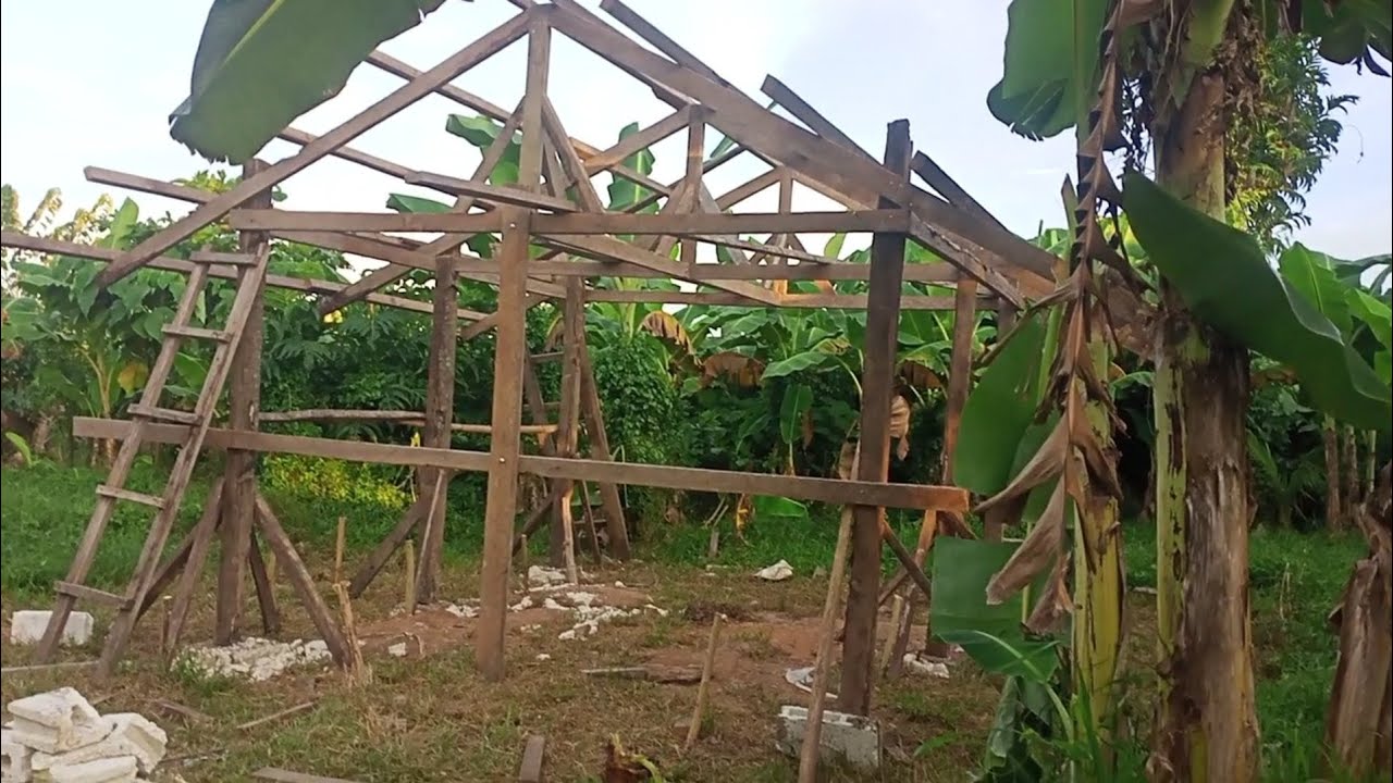 May bago kaming kapitbahay,umuwi ang mga tuta 🐶 natin sa bahay ng ...