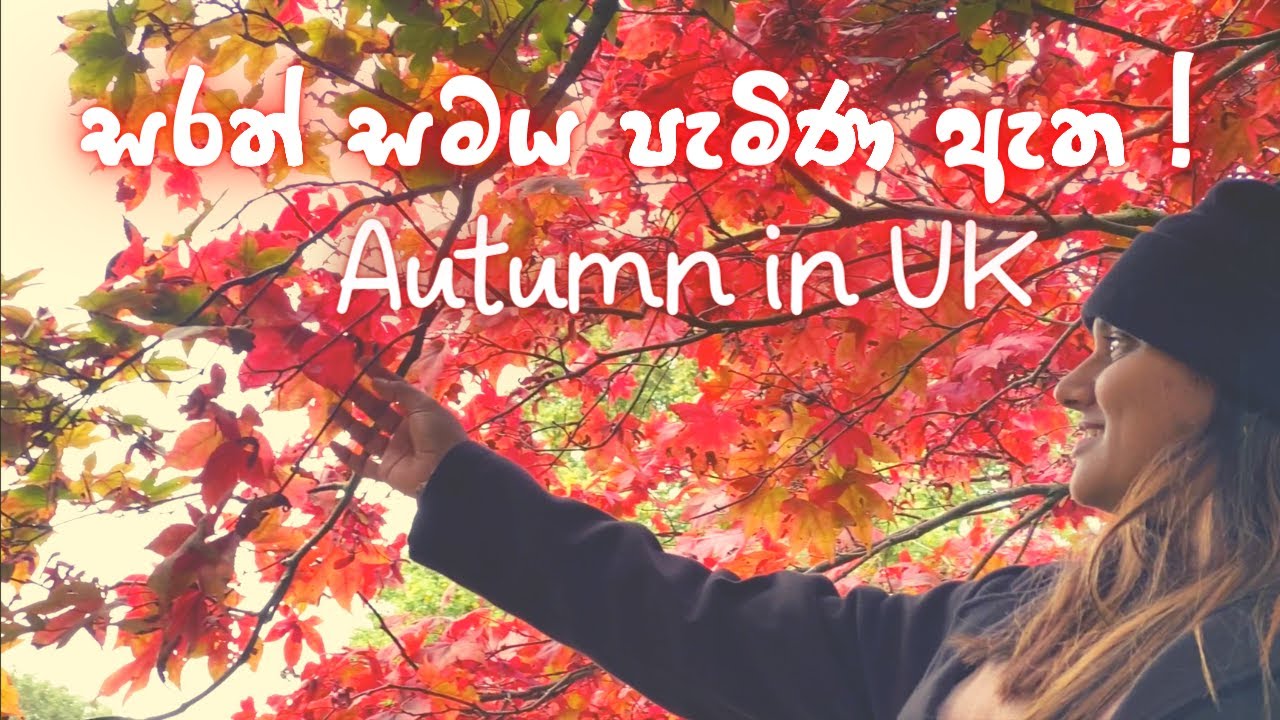 Autumn in UK | Beauty of Autumn Foliage in UK | Visit to Dunham Massey ...