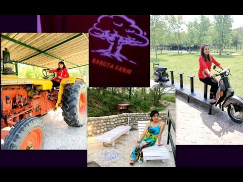 Barota Farm Punjab Vlog \ A day in a Resort \ Information & Charges ...