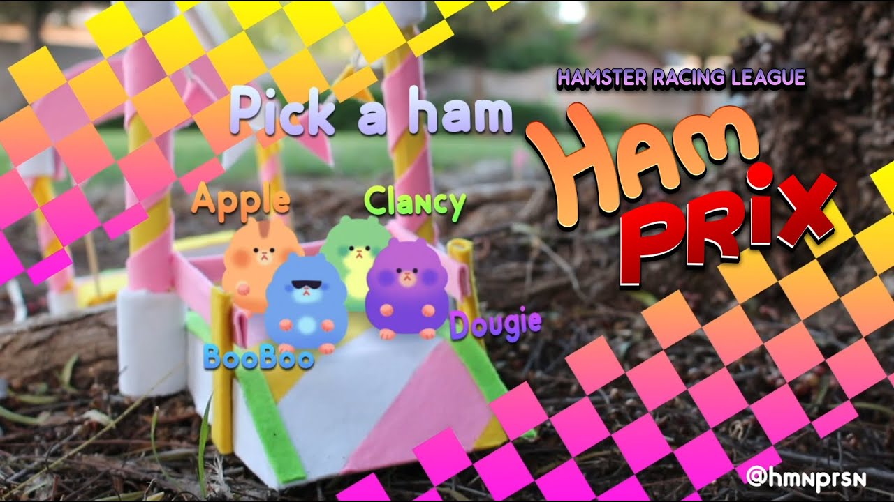 Hamster Racing League HAM PRIX #1 - YouTube