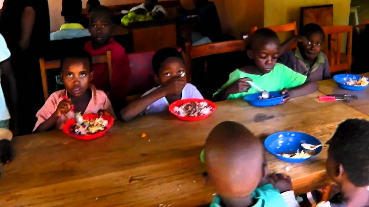 Feeding program: Day 1 - YouTube