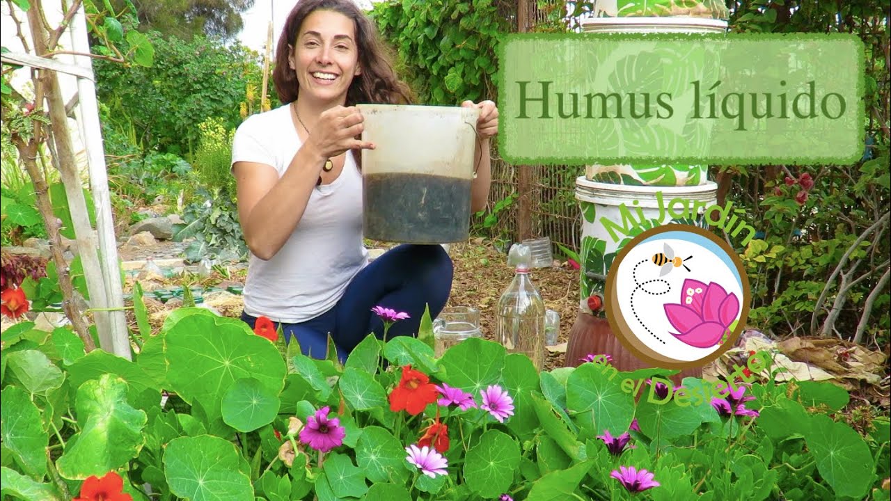 Como usar el HUMUS LÍQUIDO DE LOMBRIZ - YouTube