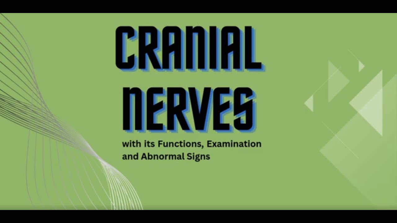 Cranial nerves Functions | Cranial nerve abnormal signs| Cranial nerves ...