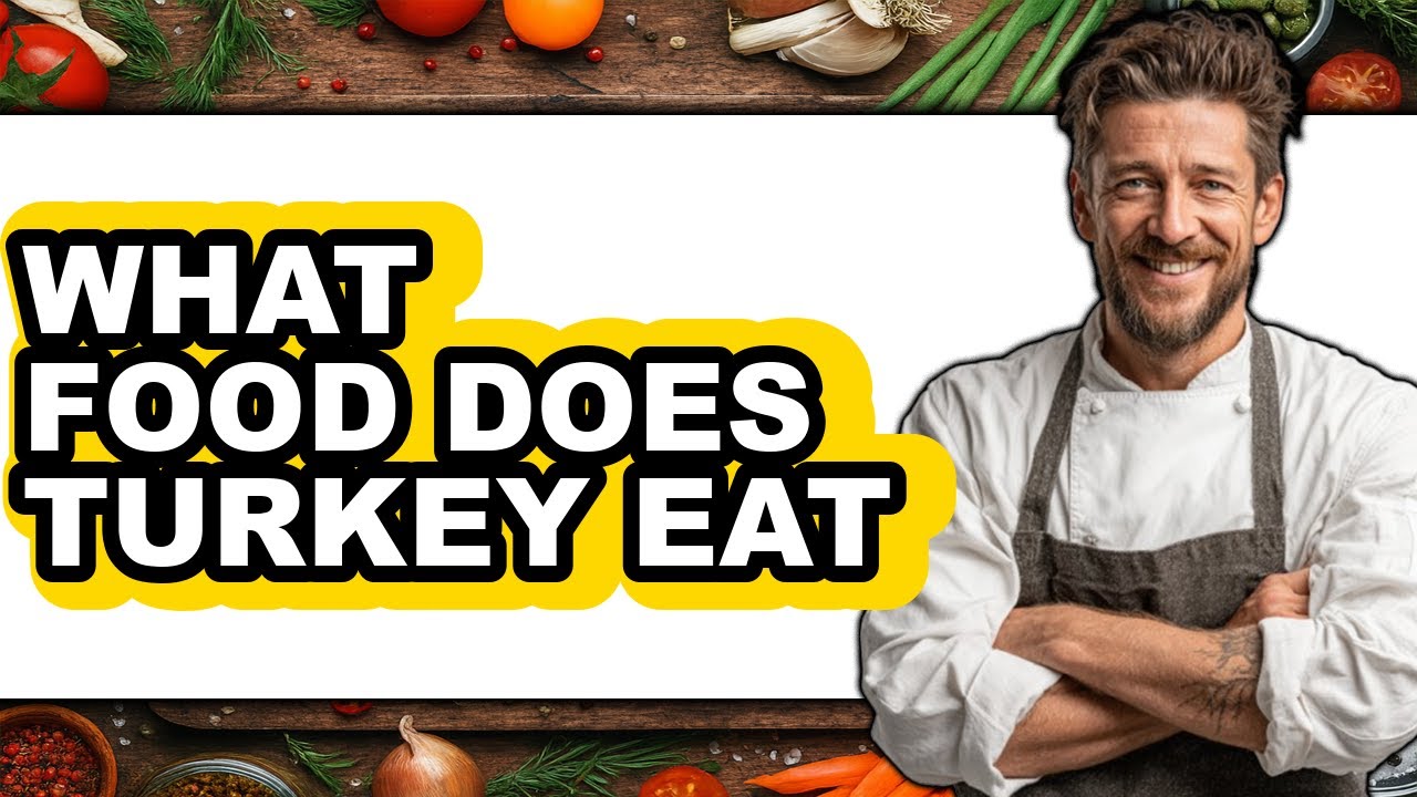 What Food Does Turkey Eat - Explained - YouTube