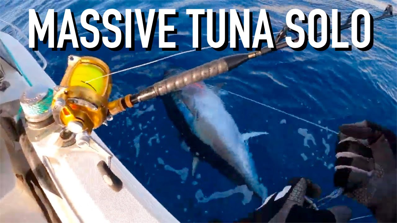 5m swell, 50 nm offshore Solo Tuna fishing - YouTube
