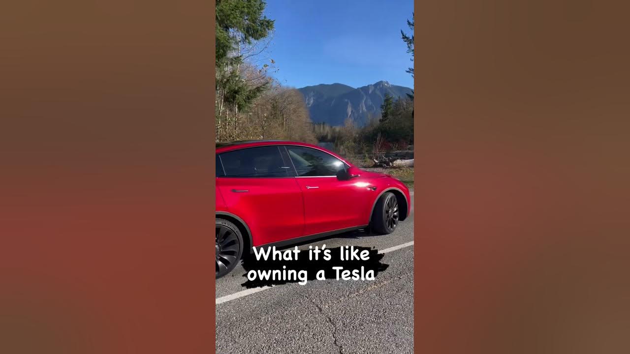 What Its Like Owning A Tesla Model Y Performance Funny Cars Tesla
