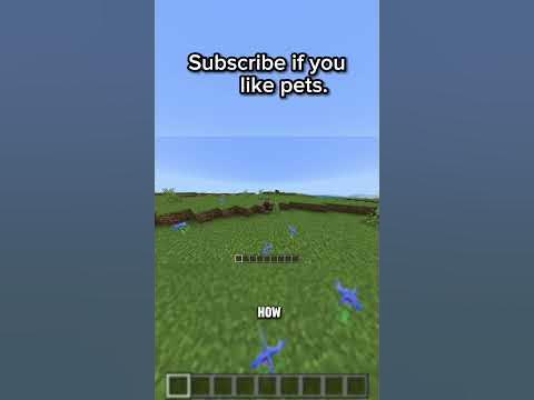 How To Change Your Gamemode Using Commands In Minecraft #shorts #tutorial #minecraft - YouTube