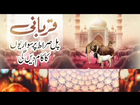 Qurbani pul sirat py sawarioun ka kaam dein gi khadim hussain rizvi