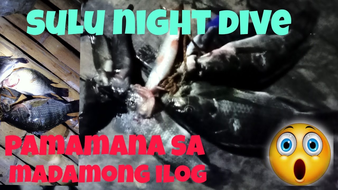Night Dive pamamana sa gabing madilim ilog sa gubat primitiveFishing ...