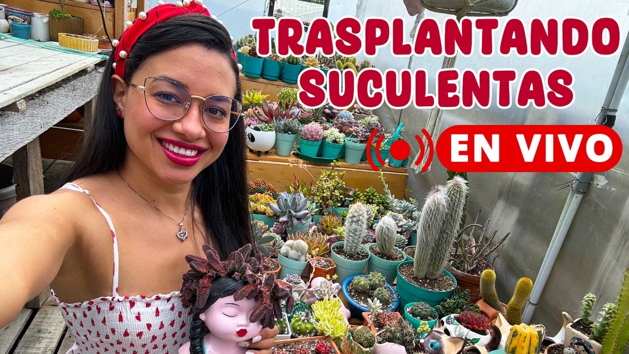 Mi primera vez trasplantando suculentas en vivo 🫣│Candy Bu - YouTube