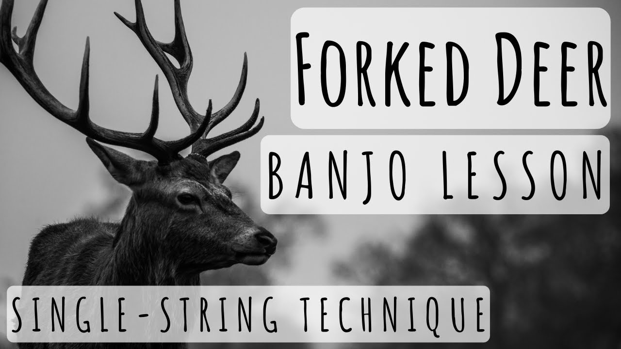 Forked Deer: Banjo Lesson - YouTube