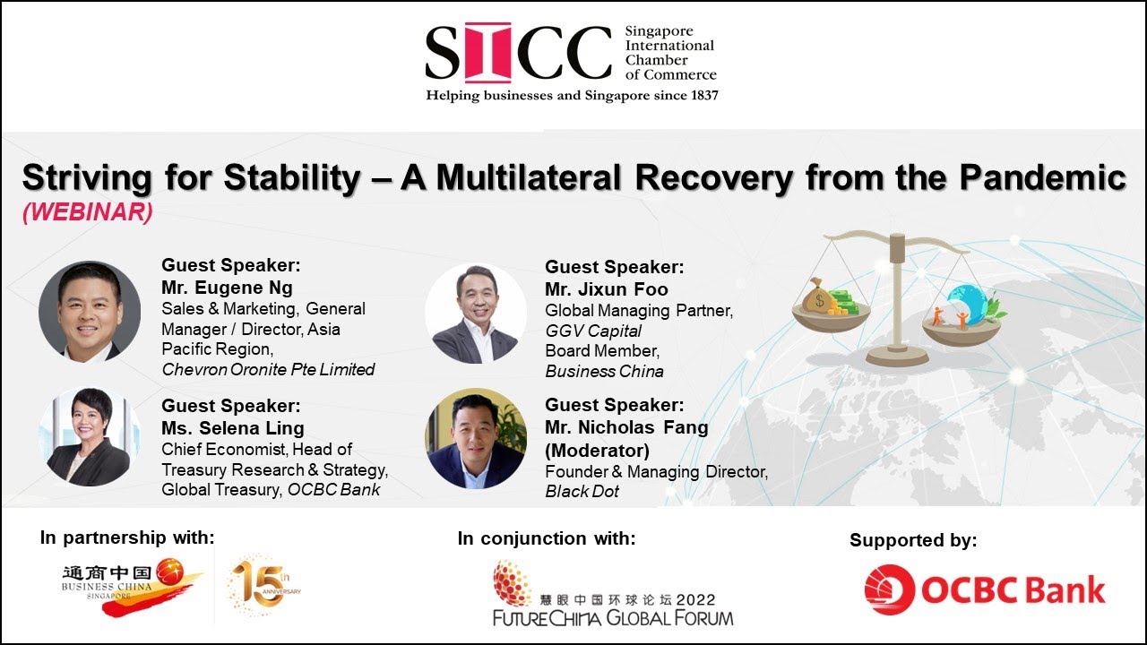 Striving for Stability – A Multilateral Recovery from the Pandemic ...