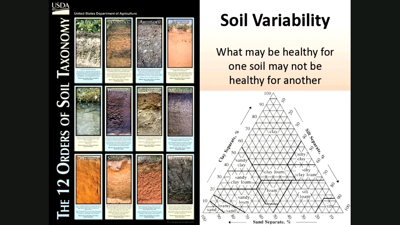 Soil Health Parameters and Water Quality - The Current 38 - YouTube