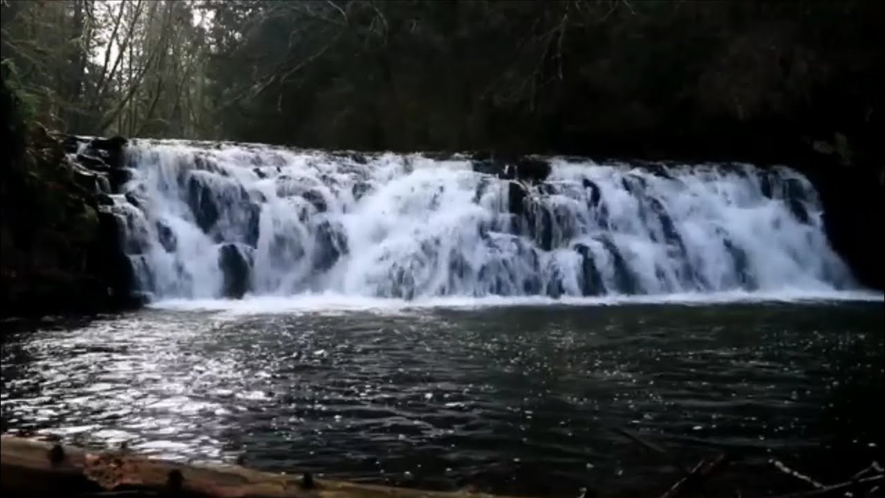 Forest River Nature Sounds - Babbling Brook - HD 2 Hours with Birds ...