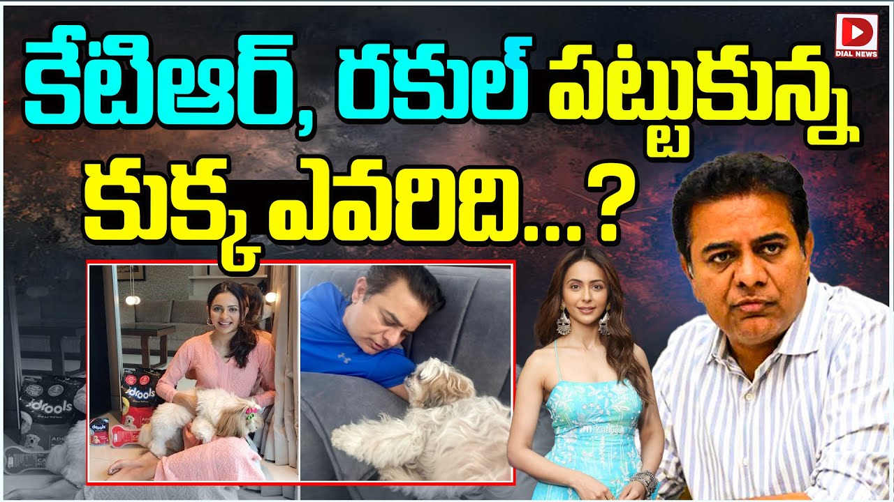 కేటిఆర్, రకుల్ పట్టుకున్న కుక్క ఎవరిది | KTR & Rakul Preet Singh Viral ...