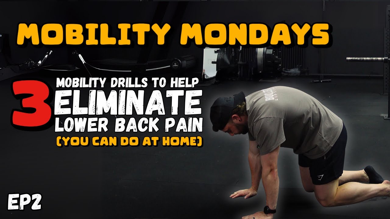 3 Easy To Follow Drills To Help Eliminate Low Back Pain | Mobility ...