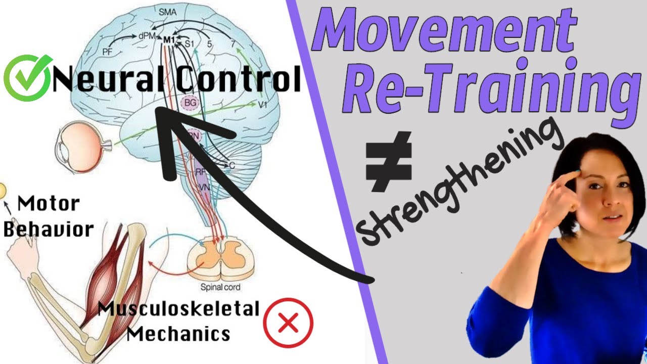 Neurologic Rehabilitation: Understanding Arm and Leg Exercises - YouTube