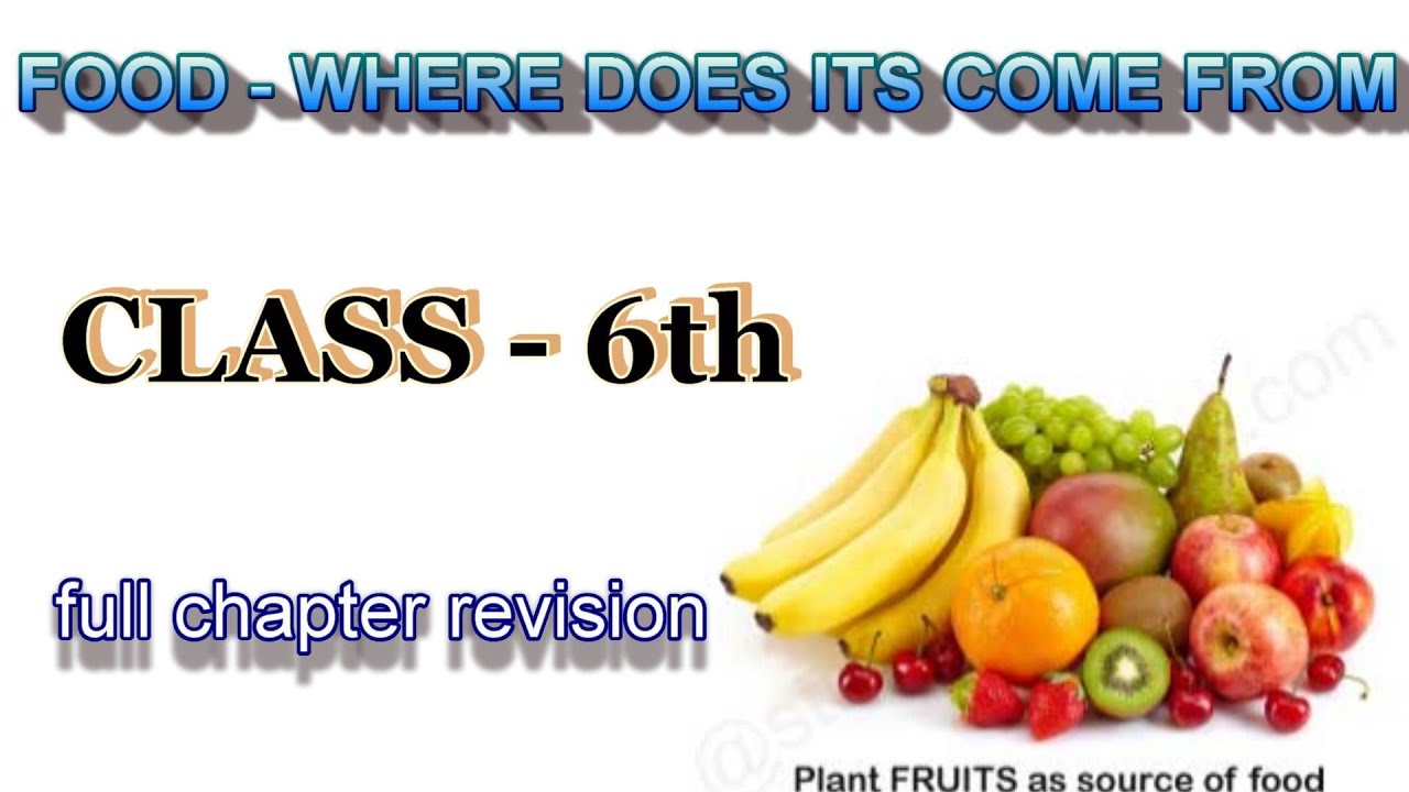 Food Where Does It Come From Class 6 Science Chapter 1 YouTube Food Where Does It Come From Class 6 Science Chapter 1 YouTube
