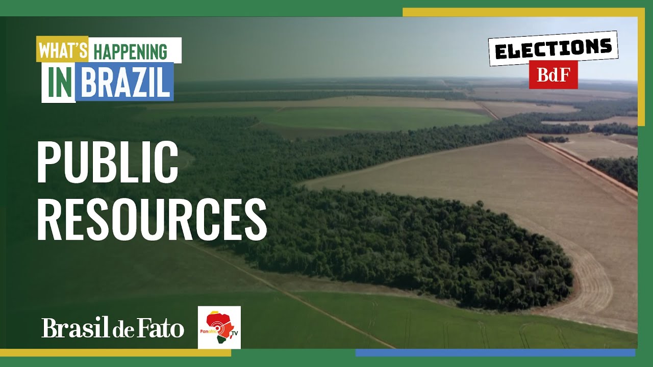 Brazilian state-owned research corporation controlled by agribusiness ...