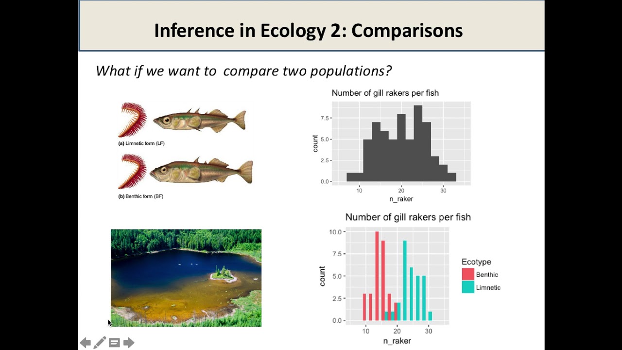 Inference in Ecology - Comparison - YouTube