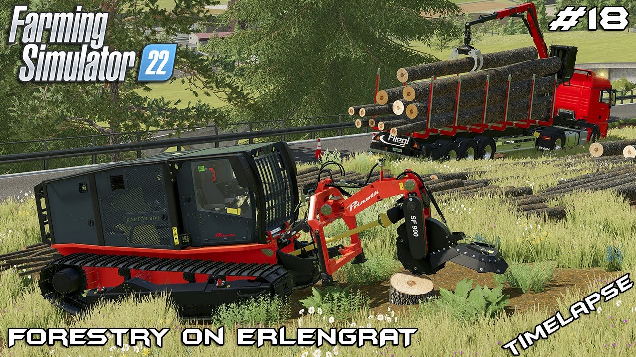 Transporting LOGS and removing STUMPS | Forestry on ERLENGRAT | Farming ...