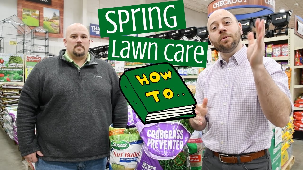 How to Get Your Lawn Ready for Spring - YouTube