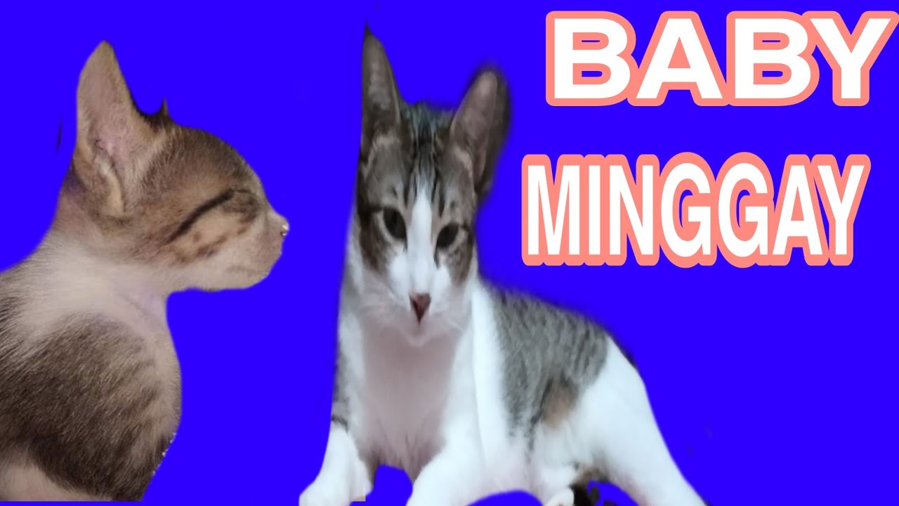 MINGGAY & MIMI/JHO B VLOGS - YouTube