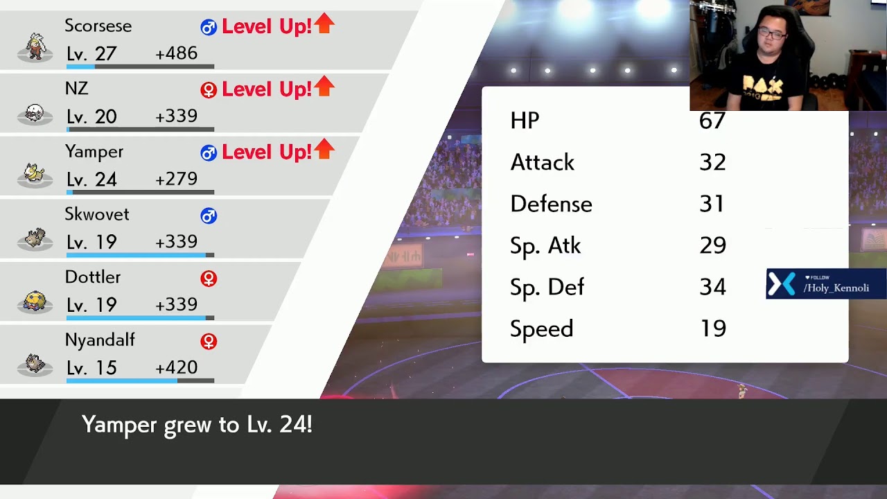 Full Pokemon Sword Run! - YouTube