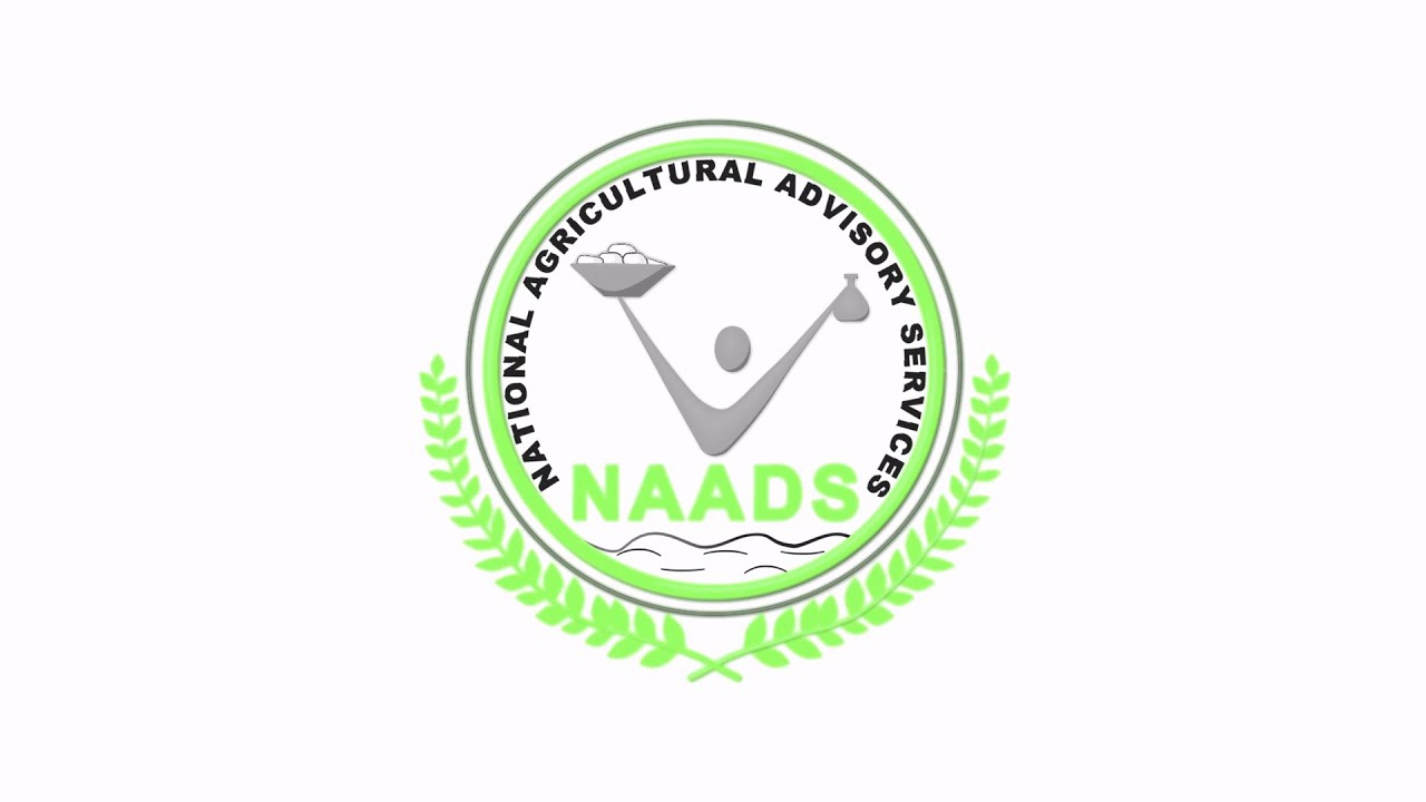 NAADS Documentary Logo Animation {Opening Bumper} - YouTube