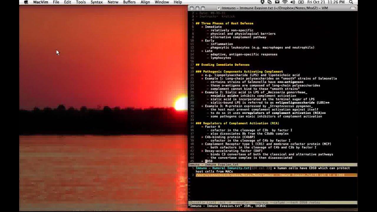 Notetaking with vim and ack - YouTube