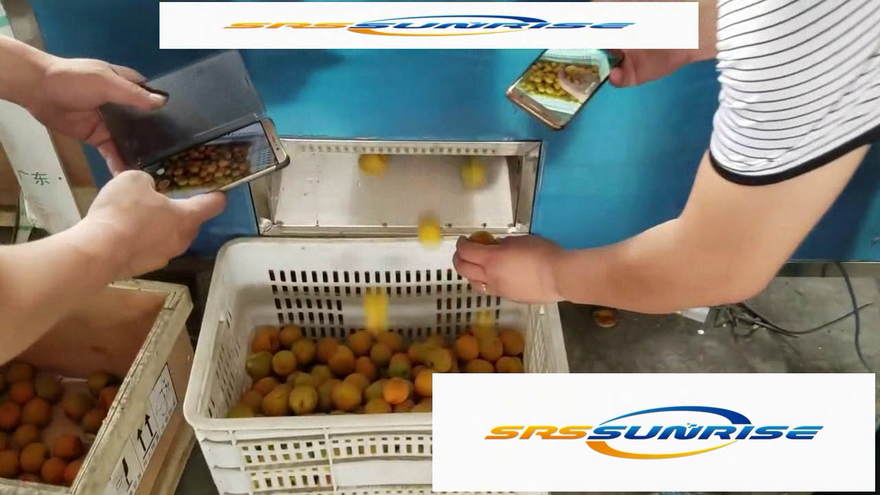 mango peach apricot fruit destoner machine pitter machine, peach ...