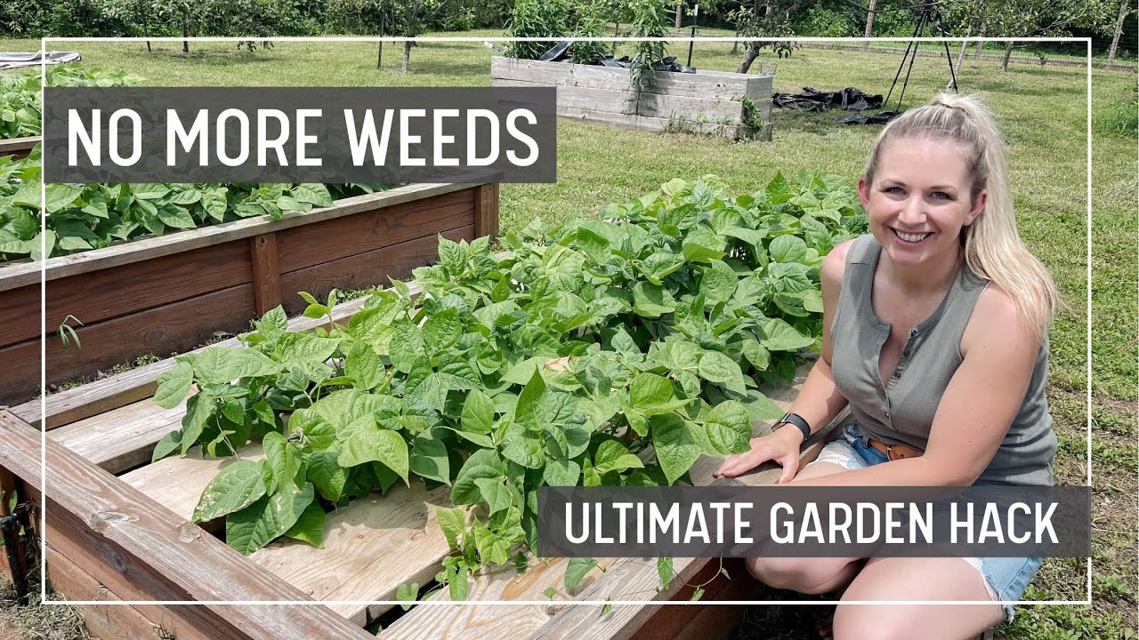 Genius Weed-Free Hack for Raised Garden Beds! 🔥 The Garden Hack You ...