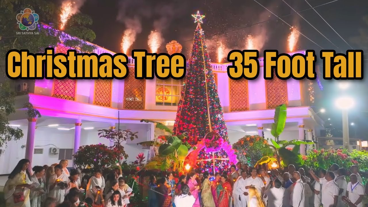 Traditional Lighting of the Christmas Tree | 35 Foot Tall - YouTube