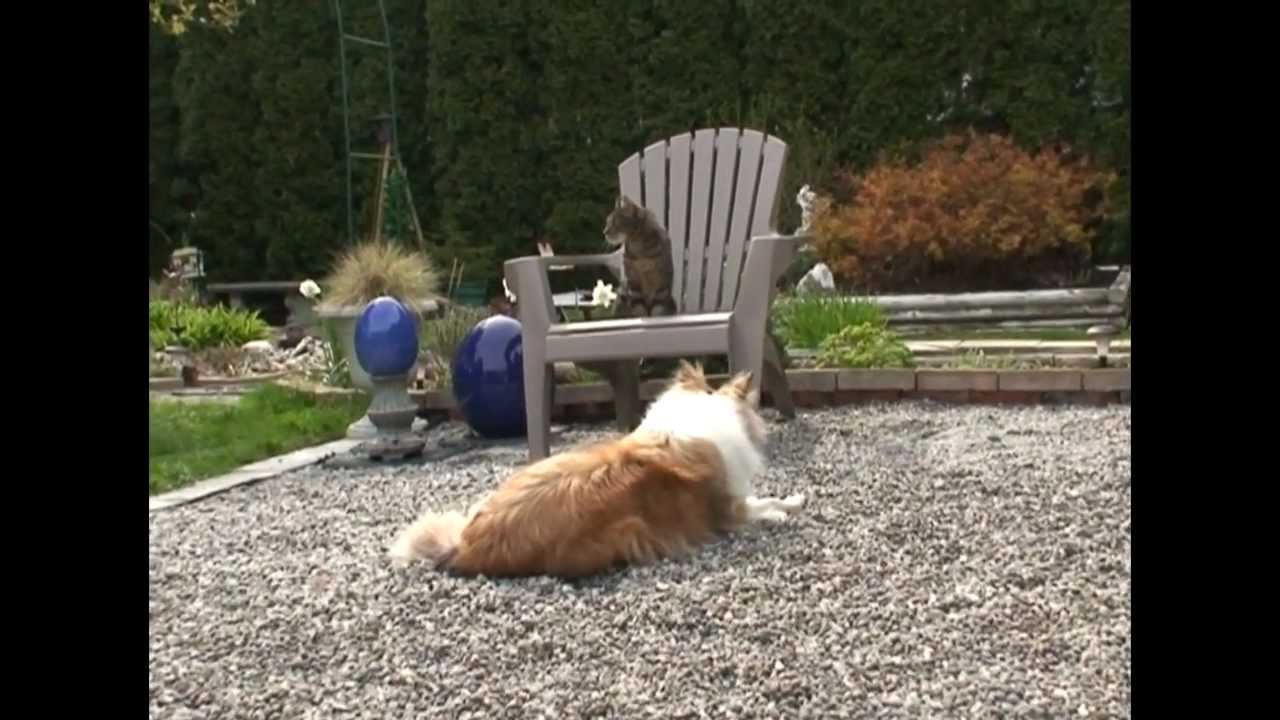 MAX & DUKE - YouTube