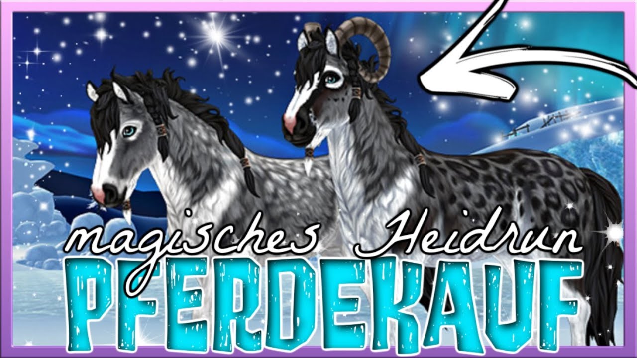 Wir KAUFEN das magische HEIDRUN 🐐 ️ Star Stable Pferdekauf [SSO] - YouTube