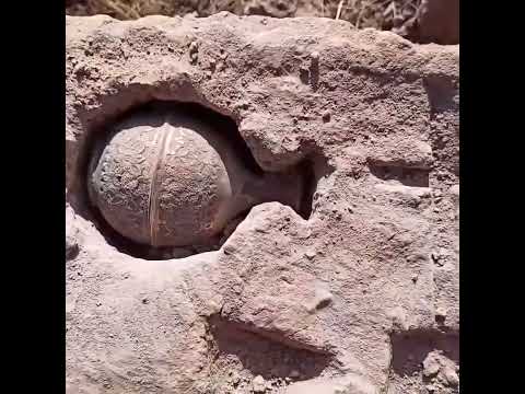 Papaz mezarını bulduk dolu dolu altın bulduk..