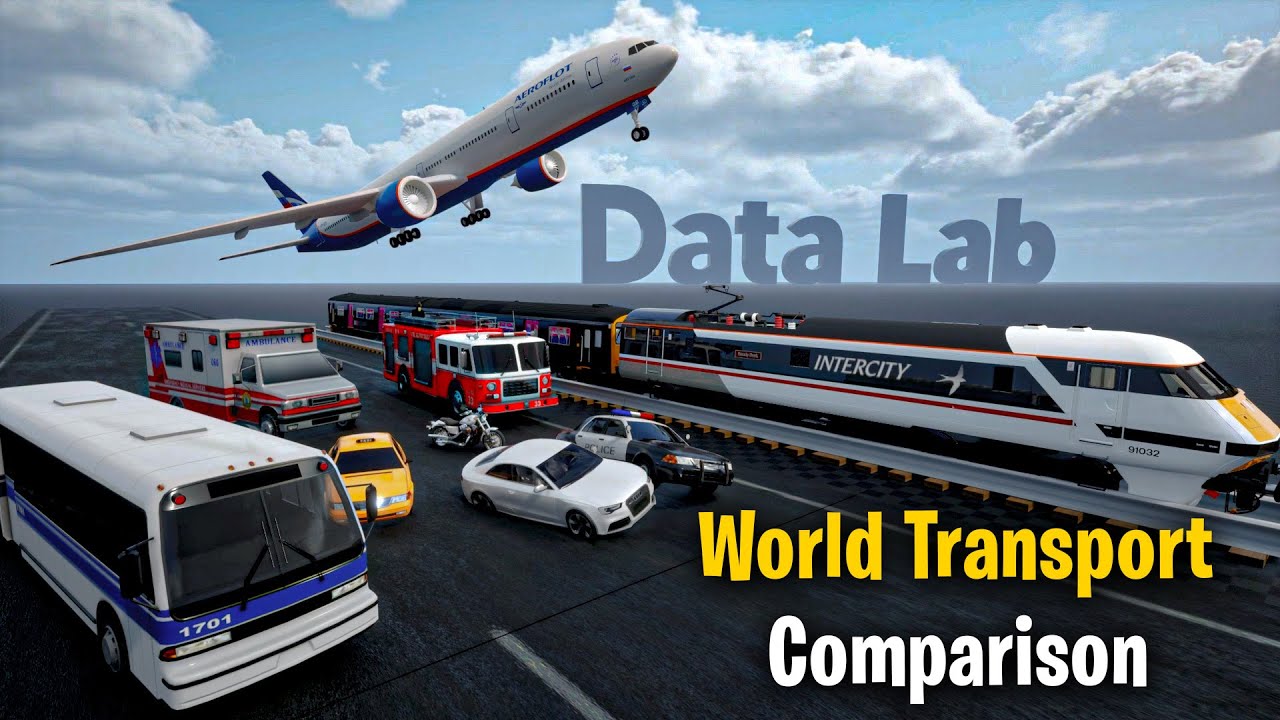 World Transport Comparison / The Most Popular Vehicle in The World / 3D ...