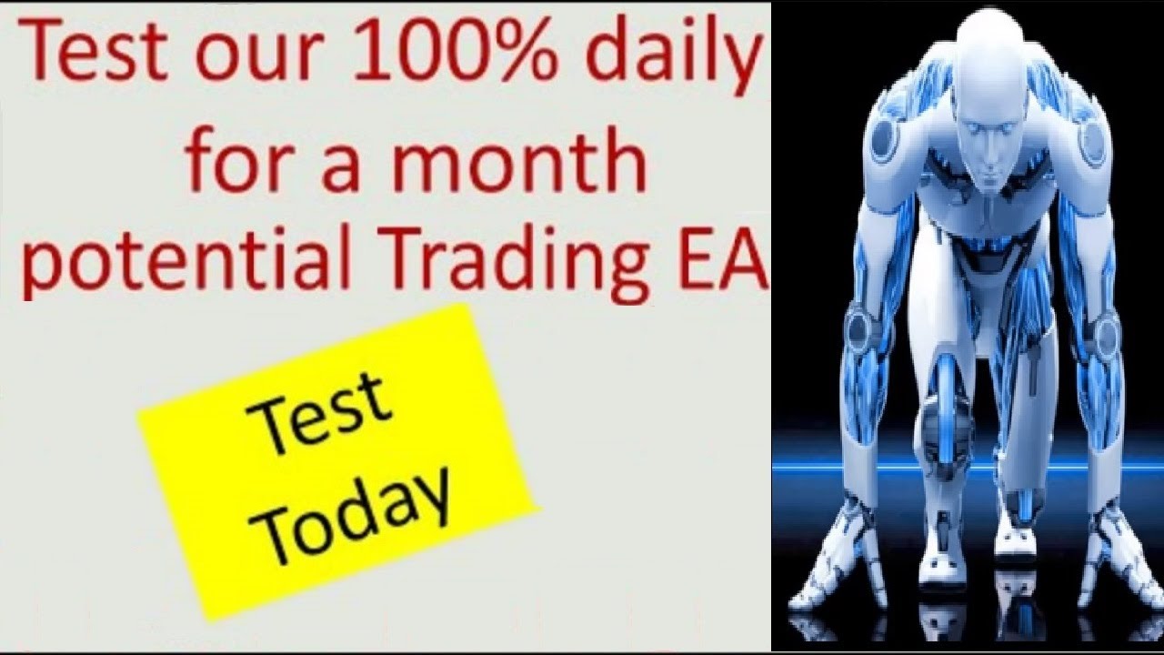 Forex Algo Trading | Live Profit Proof - YouTube