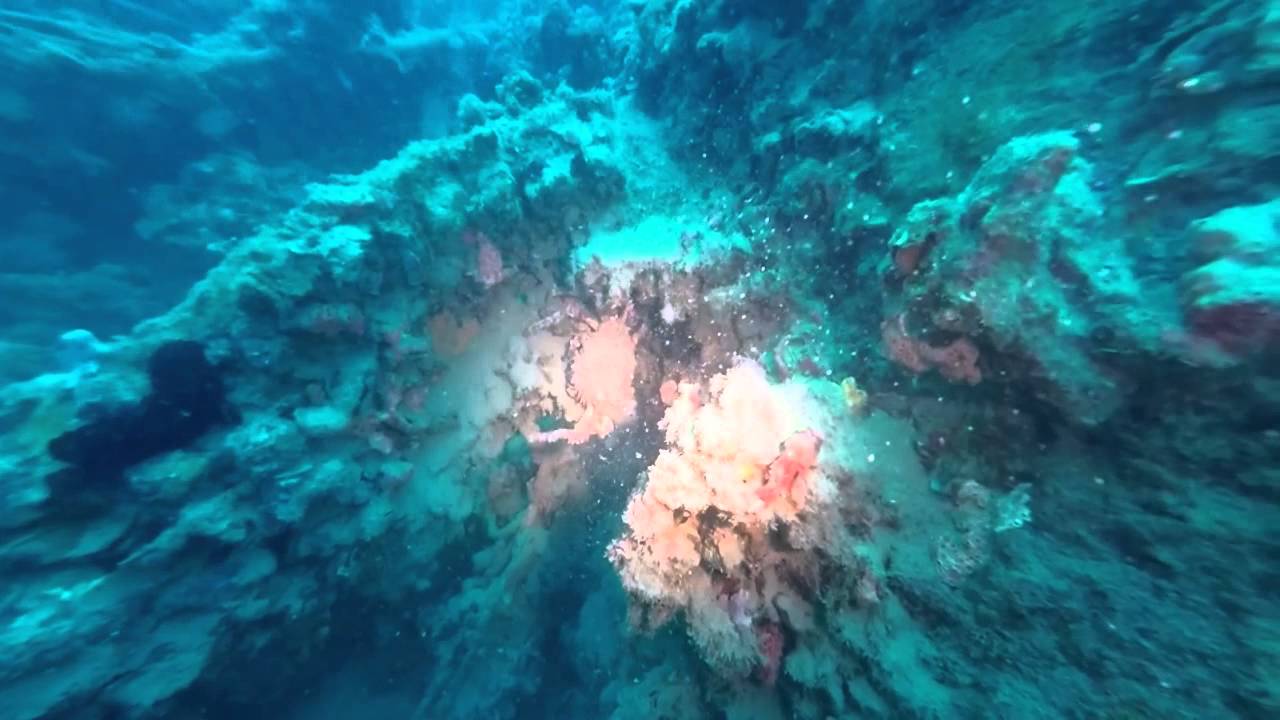 Giuseppe Dezza - THE OLD DIVER - YouTube