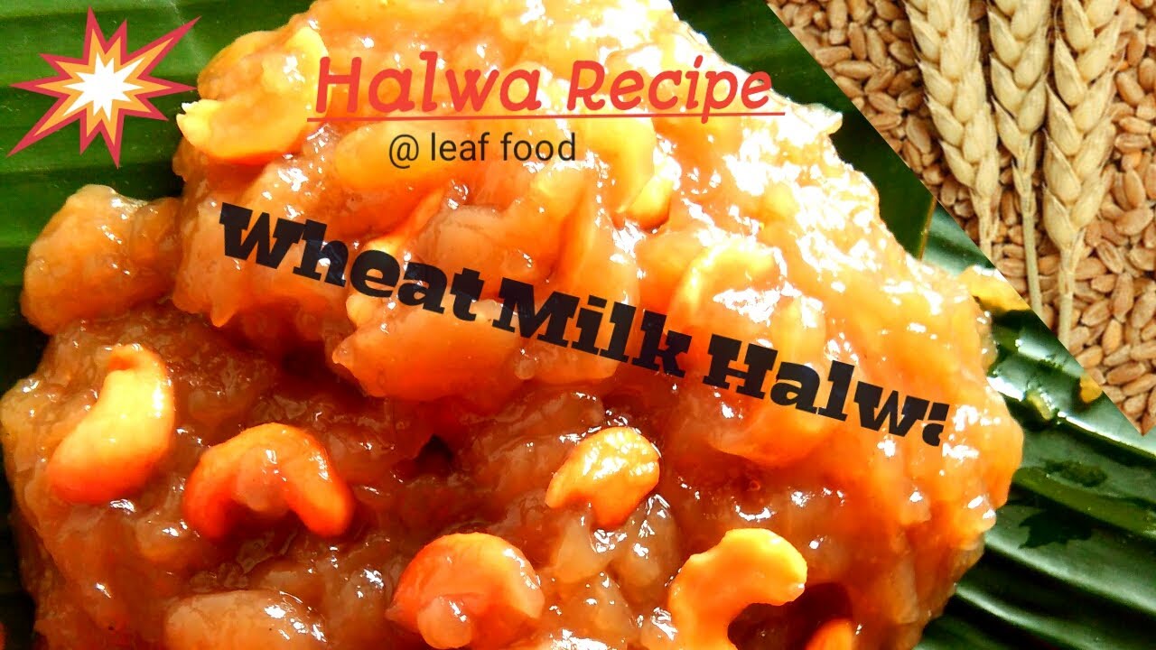 Wheat Milk Halwa Recipe/ Tirunelveli halwa/ #halwa_recipe by leaf food ...