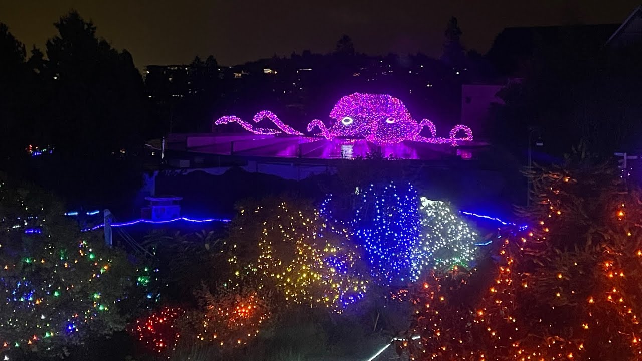 Point Defiance Zoo Light 2022 - YouTube