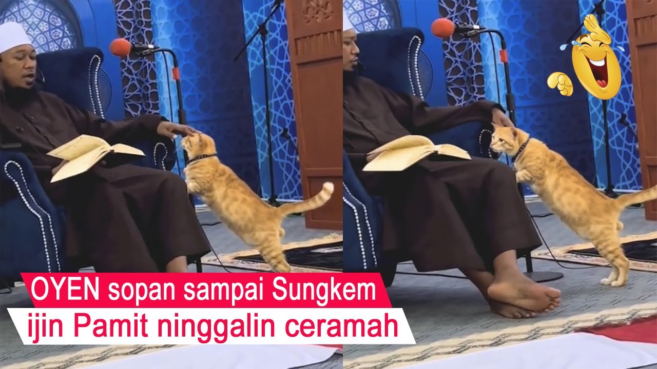 UNIK dan LUCU/momen ketika kucing SALIM ke Ustad ijin ninggalin ceramah ...